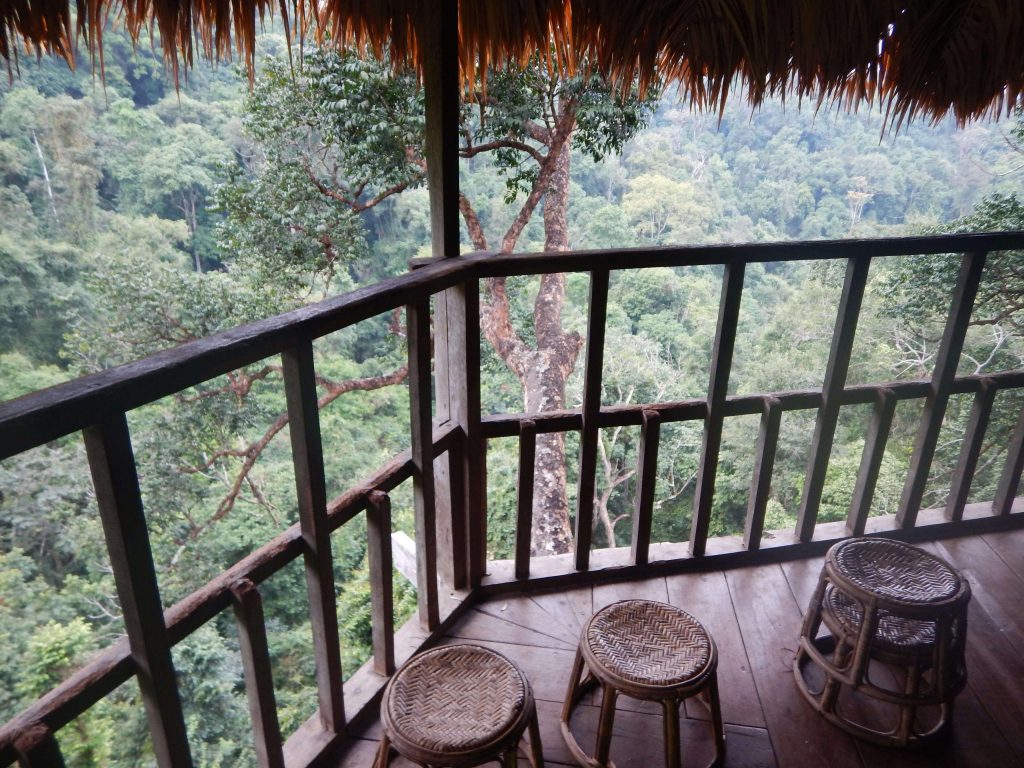 The Gibbon Experience - Slapen en ziplinen in de jungle - Youngwildfree