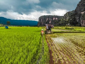 De ideale reisroute door Sumatra in twee weken - Reisblog vol ...