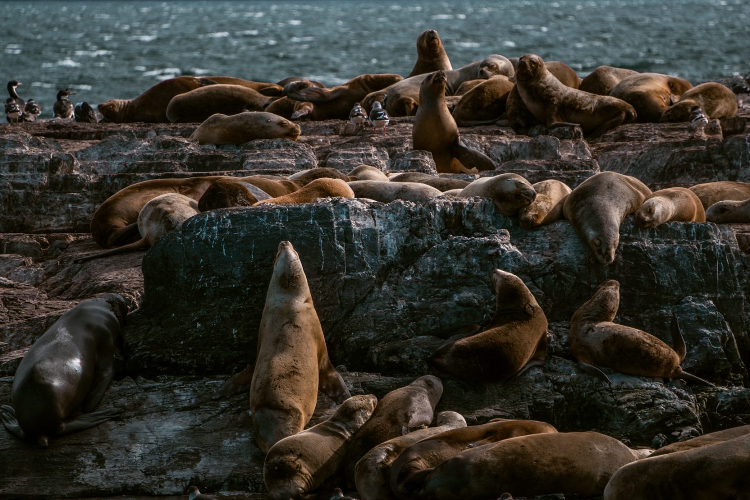 De ultieme Patagonië roadtrip // route Argentinië & Chili - reisblog