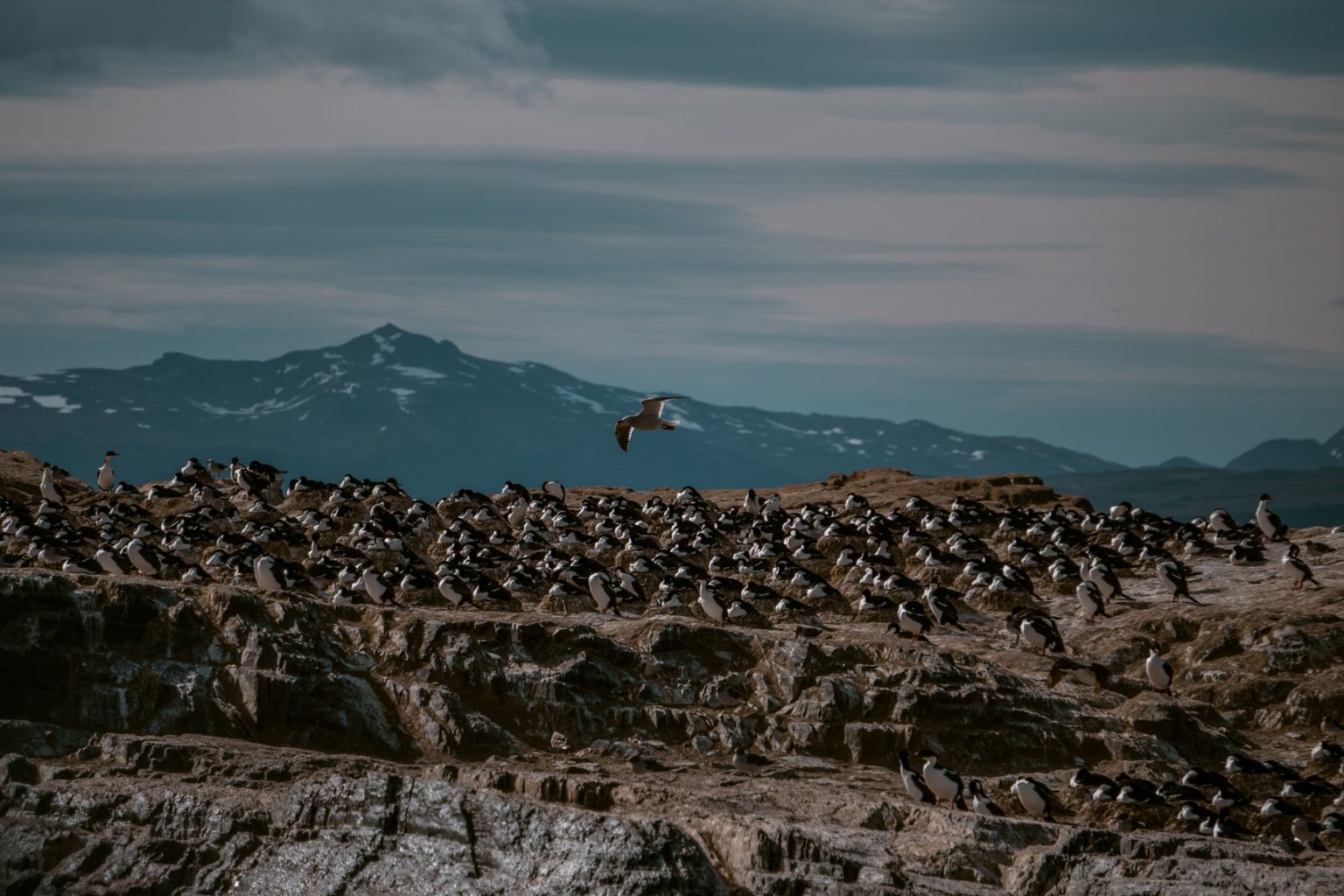 De ultieme Patagonië roadtrip // route Argentinië & Chili - reisblog