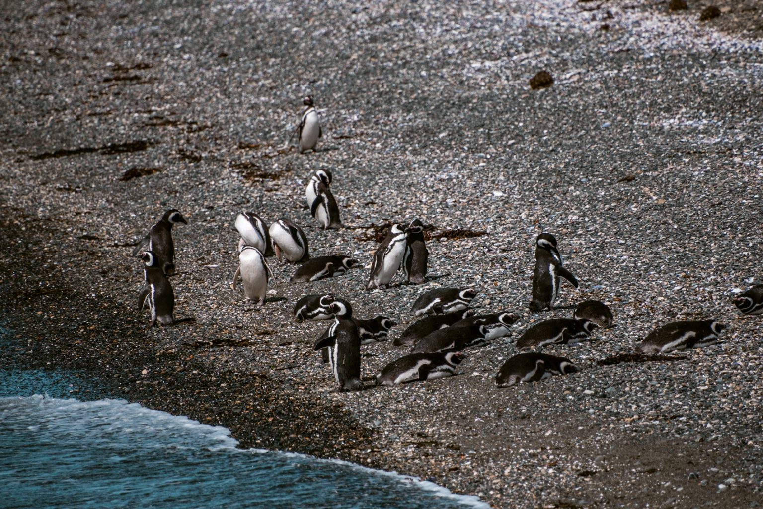 De ultieme Patagonië roadtrip // route Argentinië & Chili - reisblog